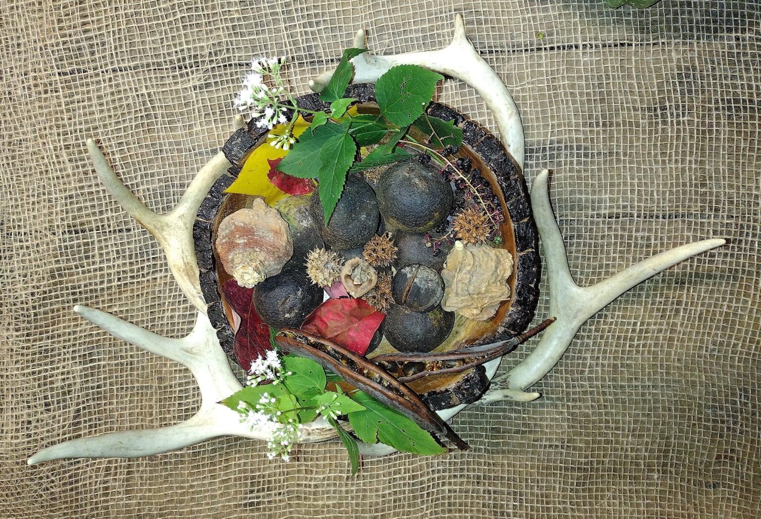 Contact - Three Corners Pagan Circle