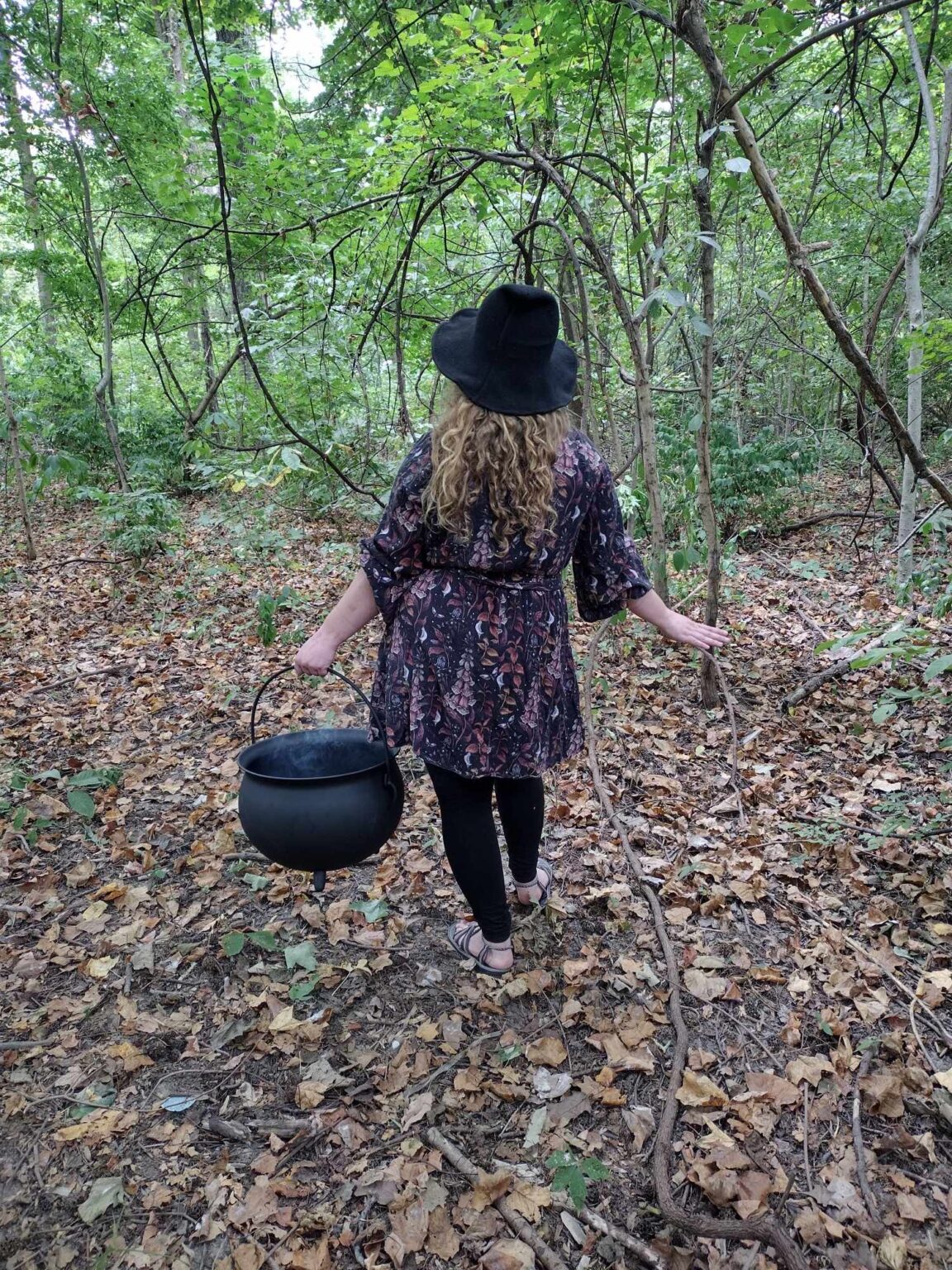 Home - Three Corners Pagan Circle